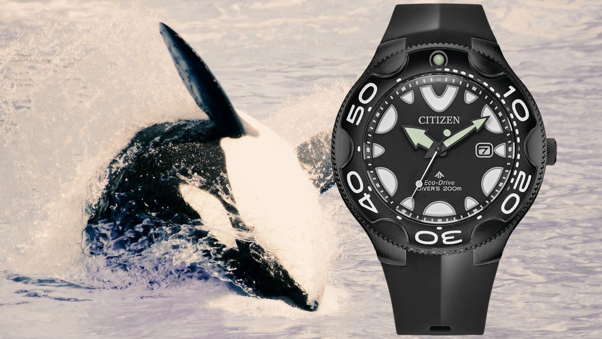 Il Citizen Promaster Diver "Orca" è tornato! – Gioielli Paladini